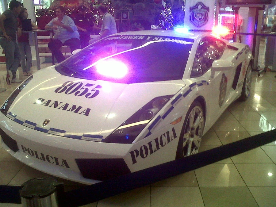 This is the police 2 perks - wellsapje