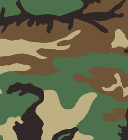 M81 Woodland | Camouflage Wiki | Fandom