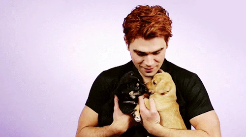 Ryder Crest | Camp Half-Blood Role Playing Wiki | Fandom