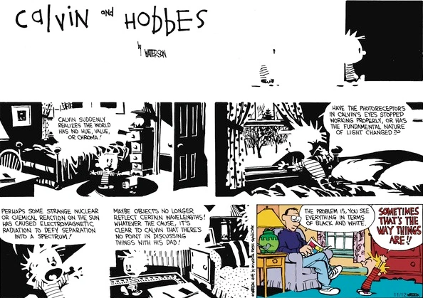Calvin in Black-and-White Form | The Calvin and Hobbes Wiki | Fandom