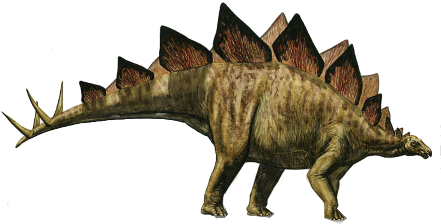 Image - Stegosaurus.png | Carmen (animated & live action) Wiki | FANDOM ... Image - Stegosaurus.png | Carmen (animated & live action) Wiki | FANDOM ...