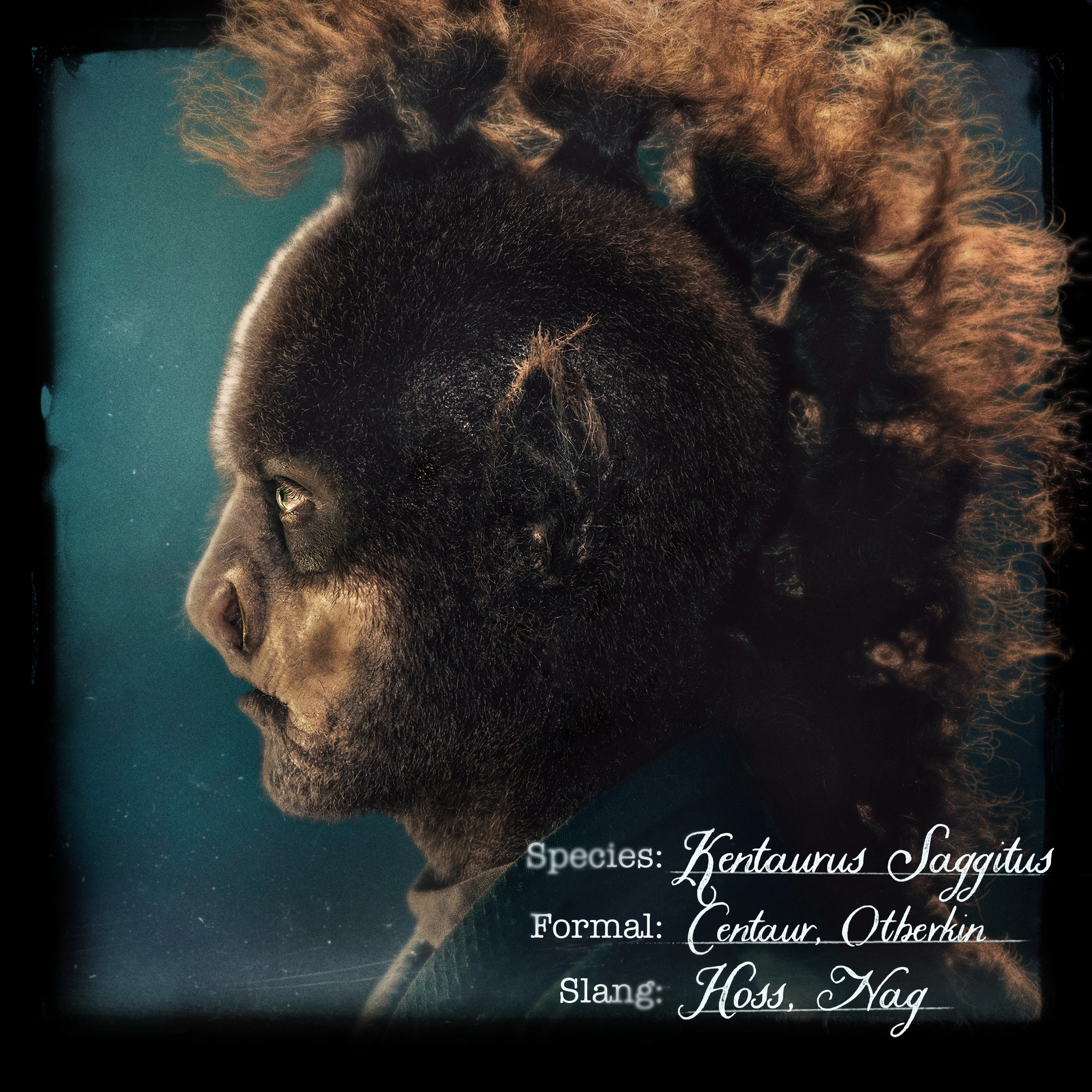 Centaur | Carnival Row Wiki | Fandom