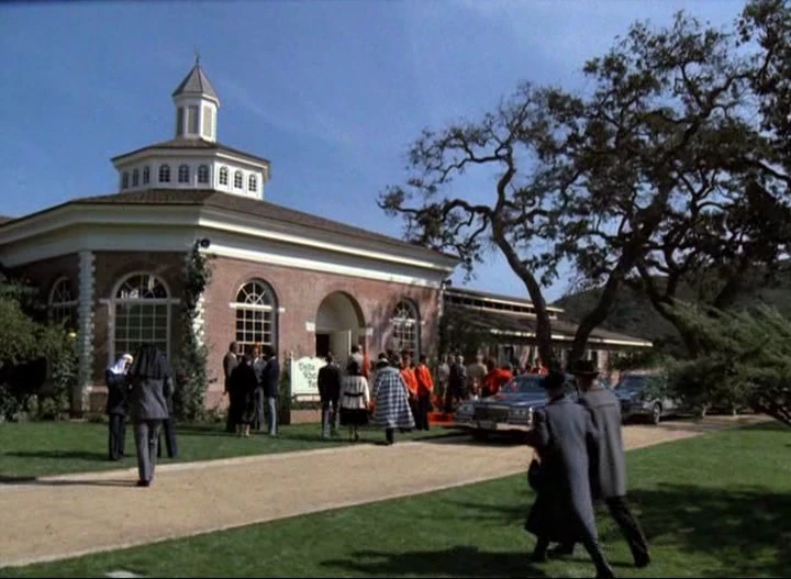 Delta Rho | Dynasty Wiki | Fandom