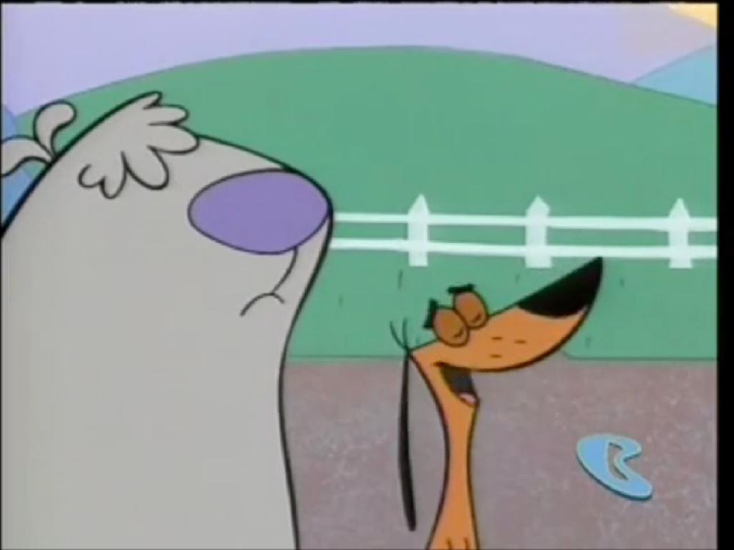 Boomerang/Screen Bug | The Cartoon Network Wiki | Fandom