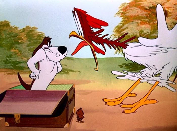 Looney Tunes | Cartoonwildtakes Wiki | Fandom