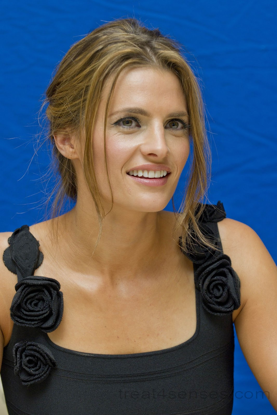 Stana Katic | Wiki Castle | FANDOM powered by Wikia Stana Katic | Wiki Castle | FANDOM powered by Wikia