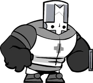 Gray Knight | Castle Crashers Wiki | Fandom
