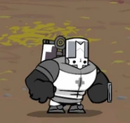 Gray Knight | Castle Crashers Wiki | FANDOM powered by Wikia