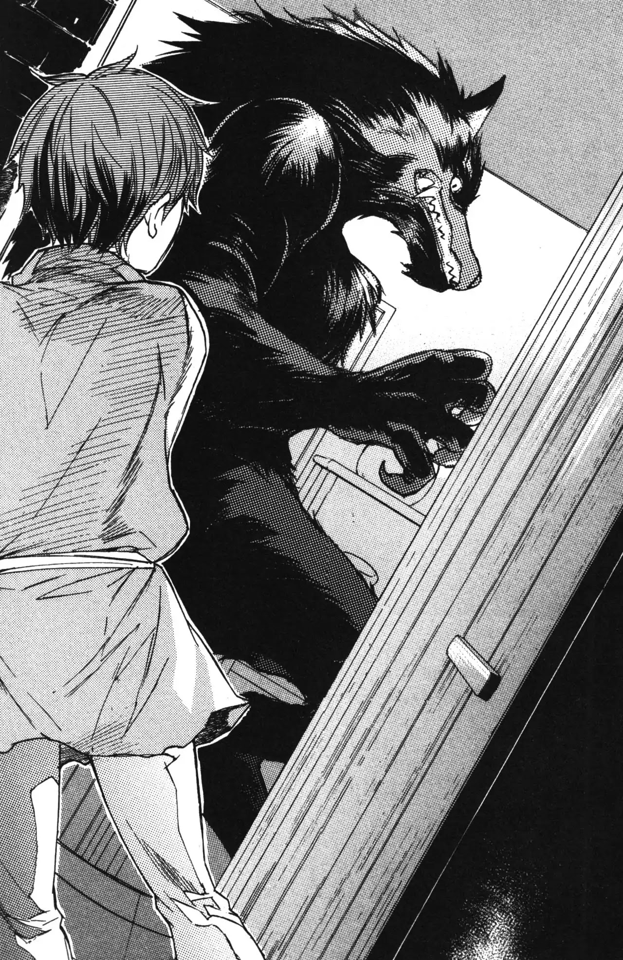 Werewolf/Gallery | Castlevania Wiki | FANDOM powered by Wikia