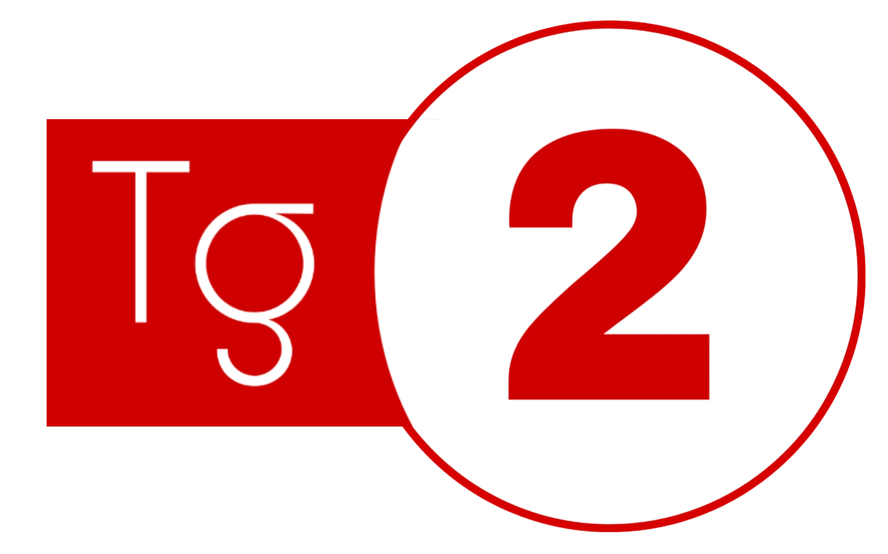 Tg2 New Logo 2021 | Catcamedian Wiki | Fandom