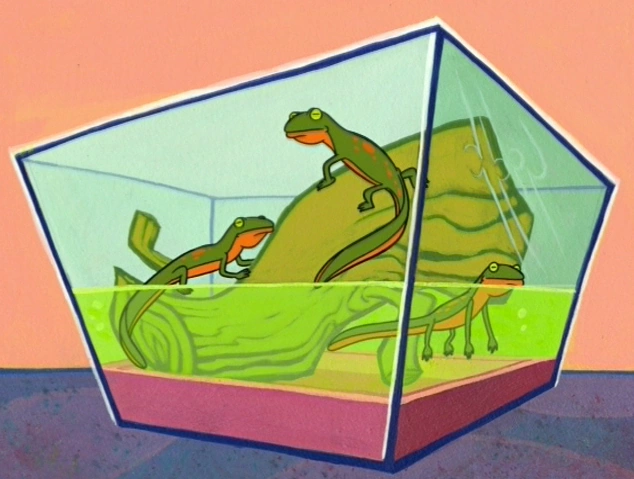 Newts | Catscratch Wiki | Fandom