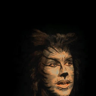 Harry Groener | 'Cats' Musical Wiki | FANDOM powered by Wikia