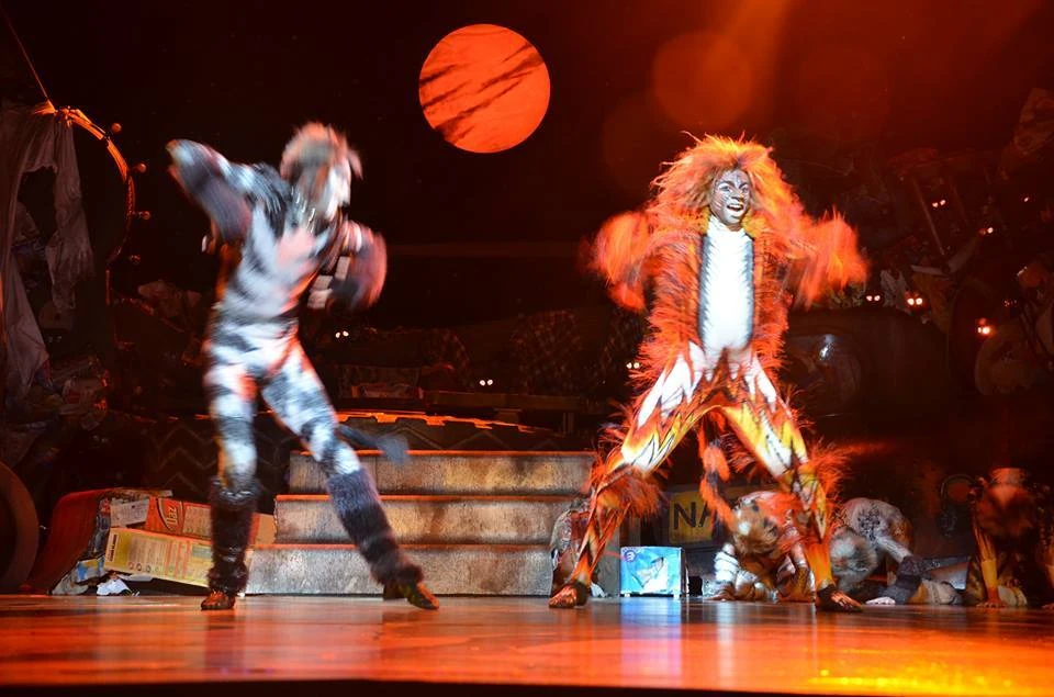 Calvin Cooper | 'Cats' Musical Wiki | Fandom