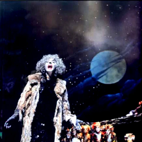Memory | 'Cats' Musical Wiki | Fandom