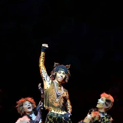 London Palladium 2014 / 2015 | 'Cats' Musical Wiki | Fandom