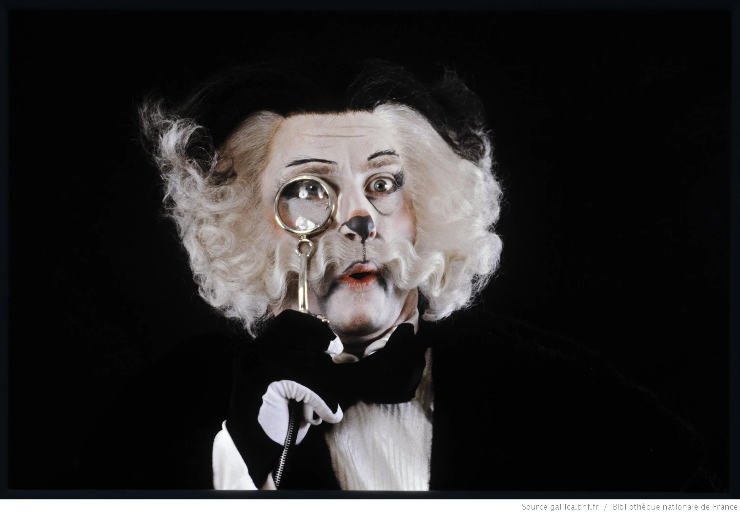 Tim Robin | 'Cats' Musical Wiki | Fandom