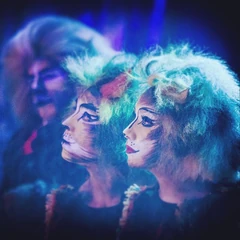 Mexico 2013 | 'Cats' Musical Wiki | Fandom