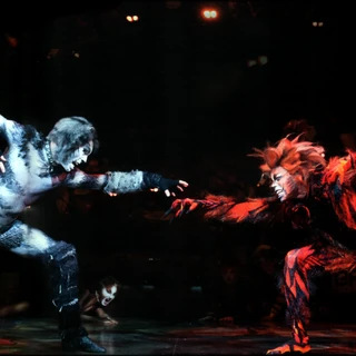 Macavity the Mystery Cat (Fight) | 'Cats' Musical Wiki | Fandom