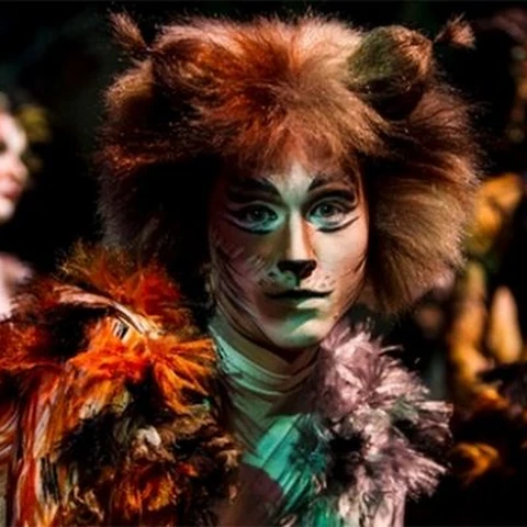 Taylor Scanlan | 'Cats' Musical Wiki | FANDOM powered by Wikia