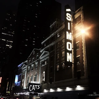 Broadway 2016/Neil Simon Theatre | 'Cats' Musical Wiki | Fandom