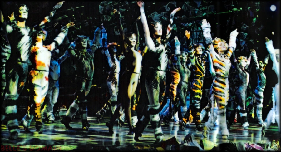 Category:Images UK Tour | 'Cats' Musical Wiki | Fandom