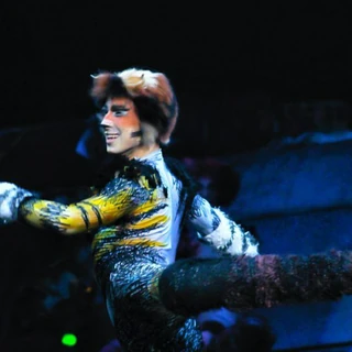 Johnny Randall | 'Cats' Musical Wiki | Fandom
