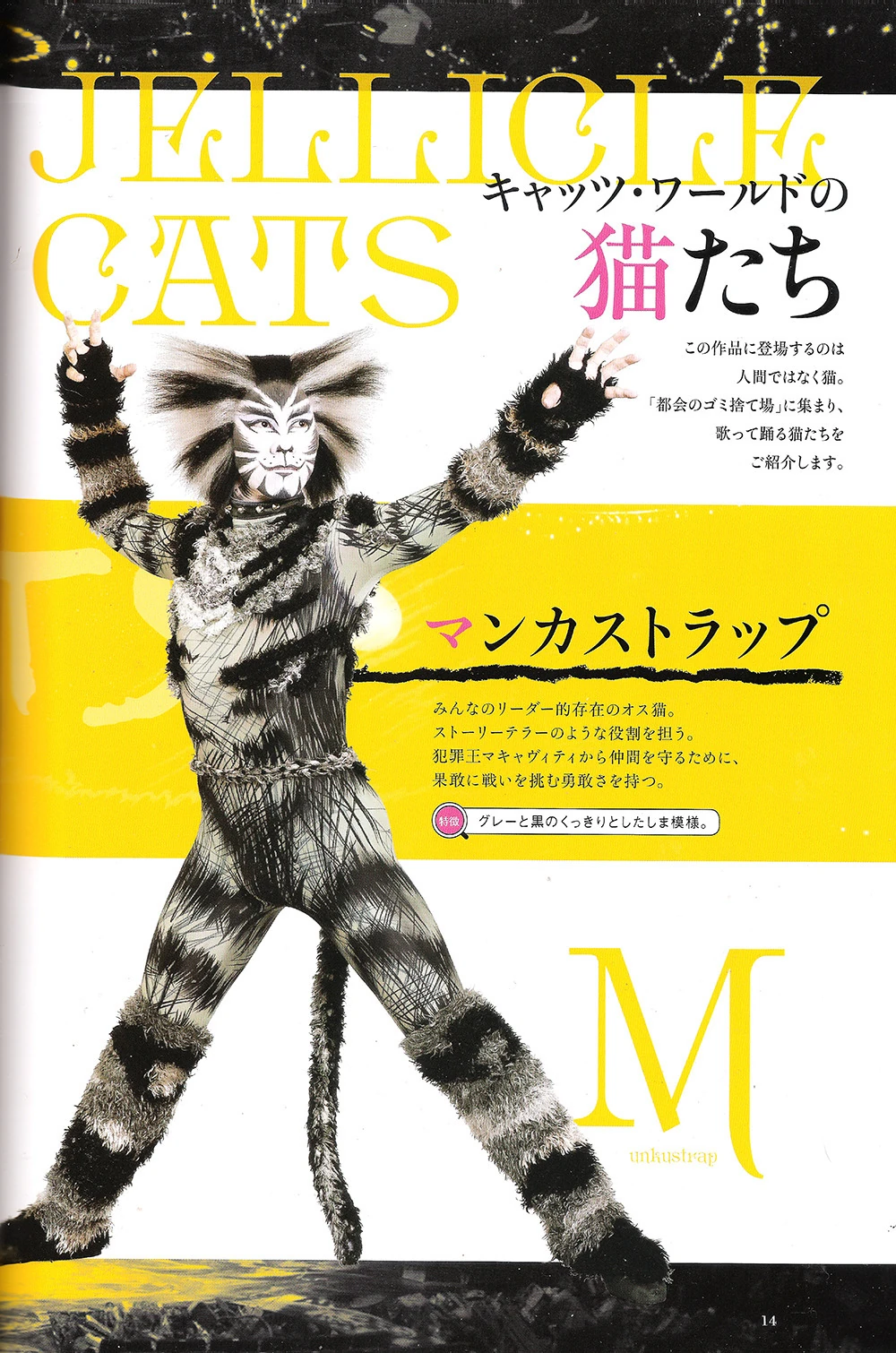 Japan 1983/Book | 'Cats' Musical Wiki | Fandom
