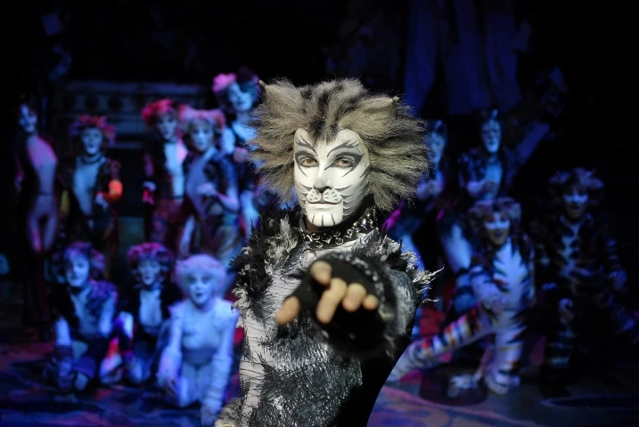 UK Tour 2003 - 2009 | 'Cats' Musical Wiki | Fandom
