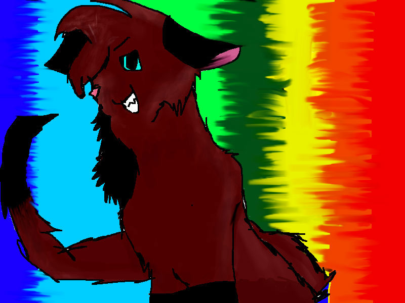 Foxpaw Cats Of The Wild Wiki Fandom Powered By Wikia