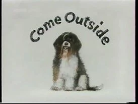 Come Outside | CBBC on Choice Wikia | FANDOM powered by Wikia