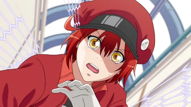 Episodio 1 | Cells at Work! Wiki | Fandom