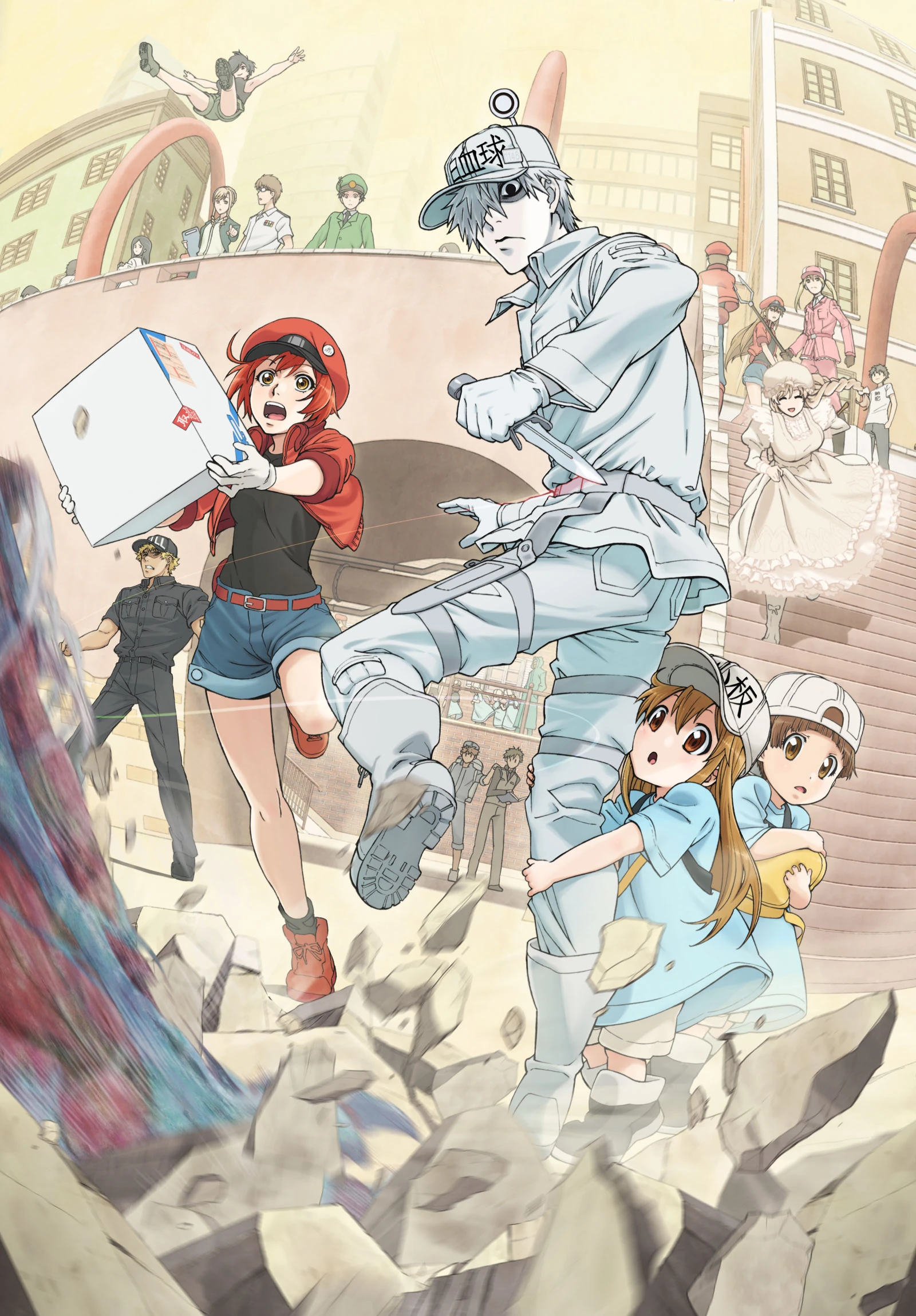 Cells at Work! (Anime) | Cells at Work! Wiki | Fandom