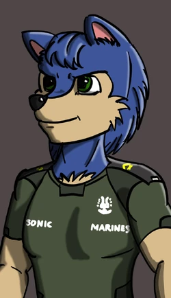 Sonic the Hedgehog | Chaos Chronicles Wiki | Fandom