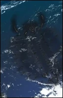 SCP Foundation | Characters Power вики | Fandom