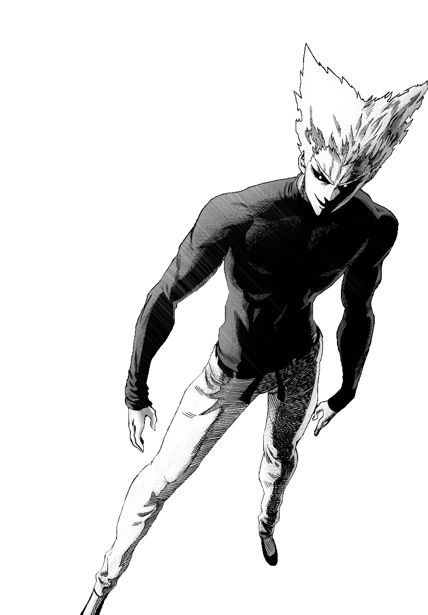 Garou | Character Tiers Wiki | Fandom