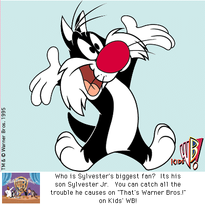 Sylvester Jr. | Character-community Wiki | Fandom
