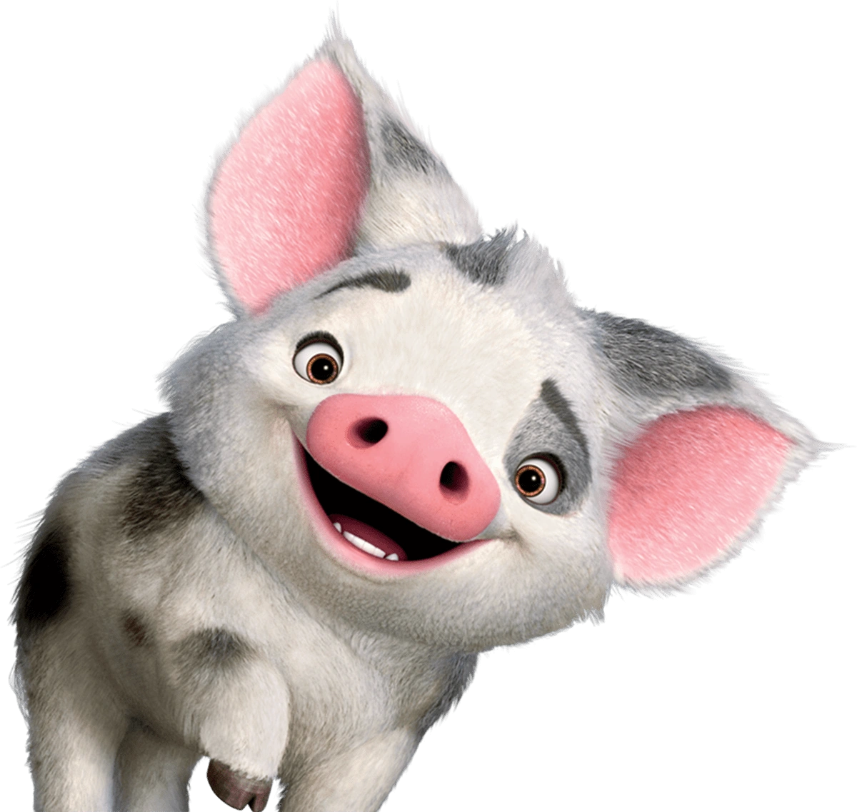 Pua | Character-community Wiki | Fandom