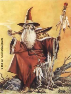 Elminster Aumar | Character Profile Wikia | Fandom