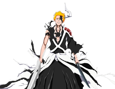 Ichigo Kurosaki | Character Profile Wikia | Fandom