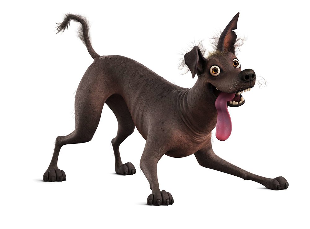 Dante (Coco) | Fictional Characters Wiki | FANDOM powered by Wikia Dante (Coco) | Fictional Characters Wiki | FANDOM powered by Wikia