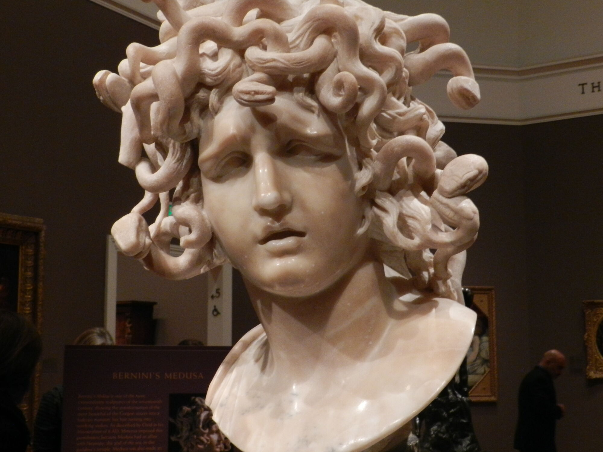 Medusa Charmed FANDOM Powered By Wikia medusa-charmed-fandom-powered-by-wikia