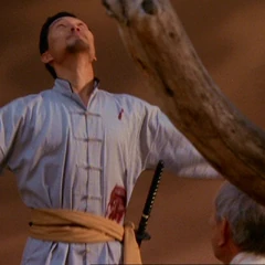 Flight/Gallery | Charmed | Fandom