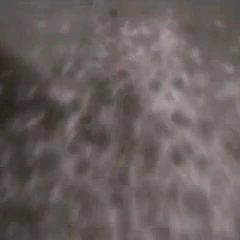 Shapeshifting/Gallery | Charmed | Fandom