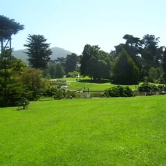 Golden Gate Park | Charmed | Fandom
