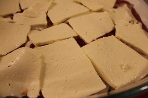 Turrialba | WikiCheese | Fandom