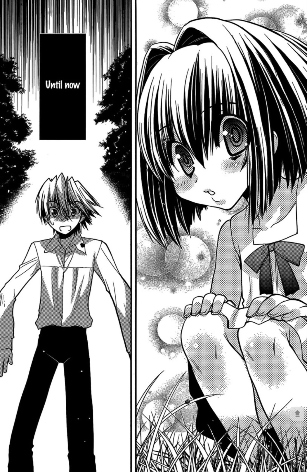 Rei/Gallery | Chibi Vampire or Karin Wiki | Fandom