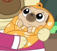 Totsy Tot Pug/Gallery | Wiki Walk | Fandom