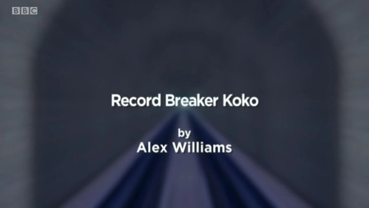 Record Breaker Koko | Chuggington Wiki | FANDOM powered by Wikia