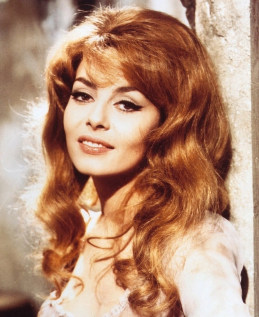 Michèle Mercier | Cinema Wiki | Fandom