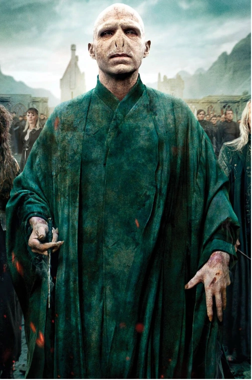 Lord Voldemort | CinemaSins Wiki | FANDOM powered by Wikia